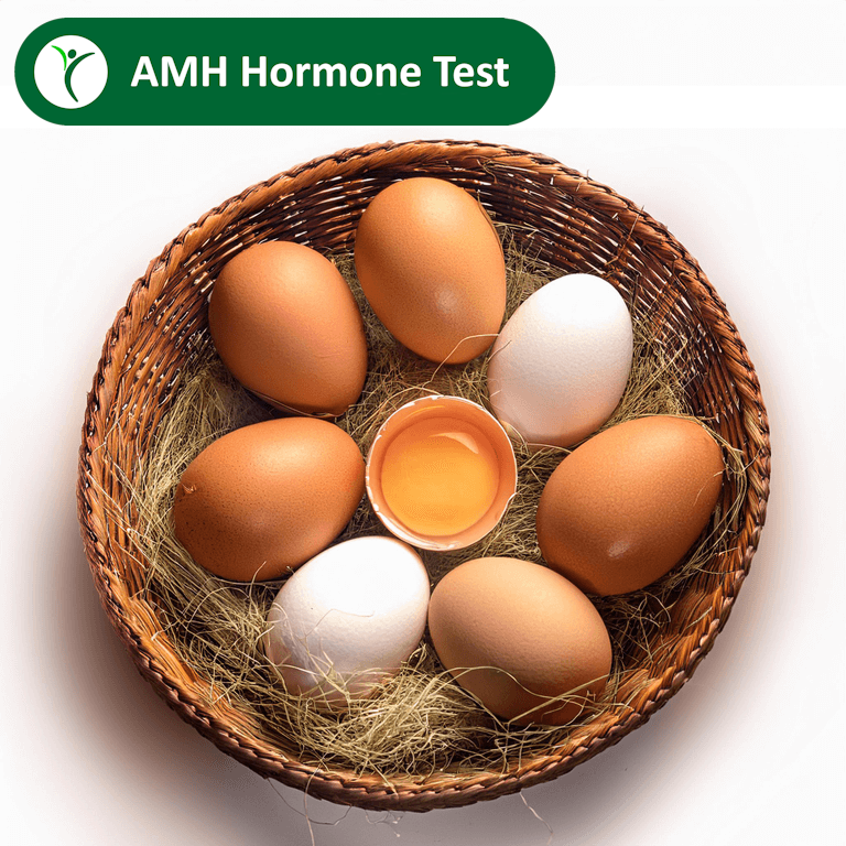 AMH Levels by Age: What Is a Normal AMH Level? – AIS Health Check